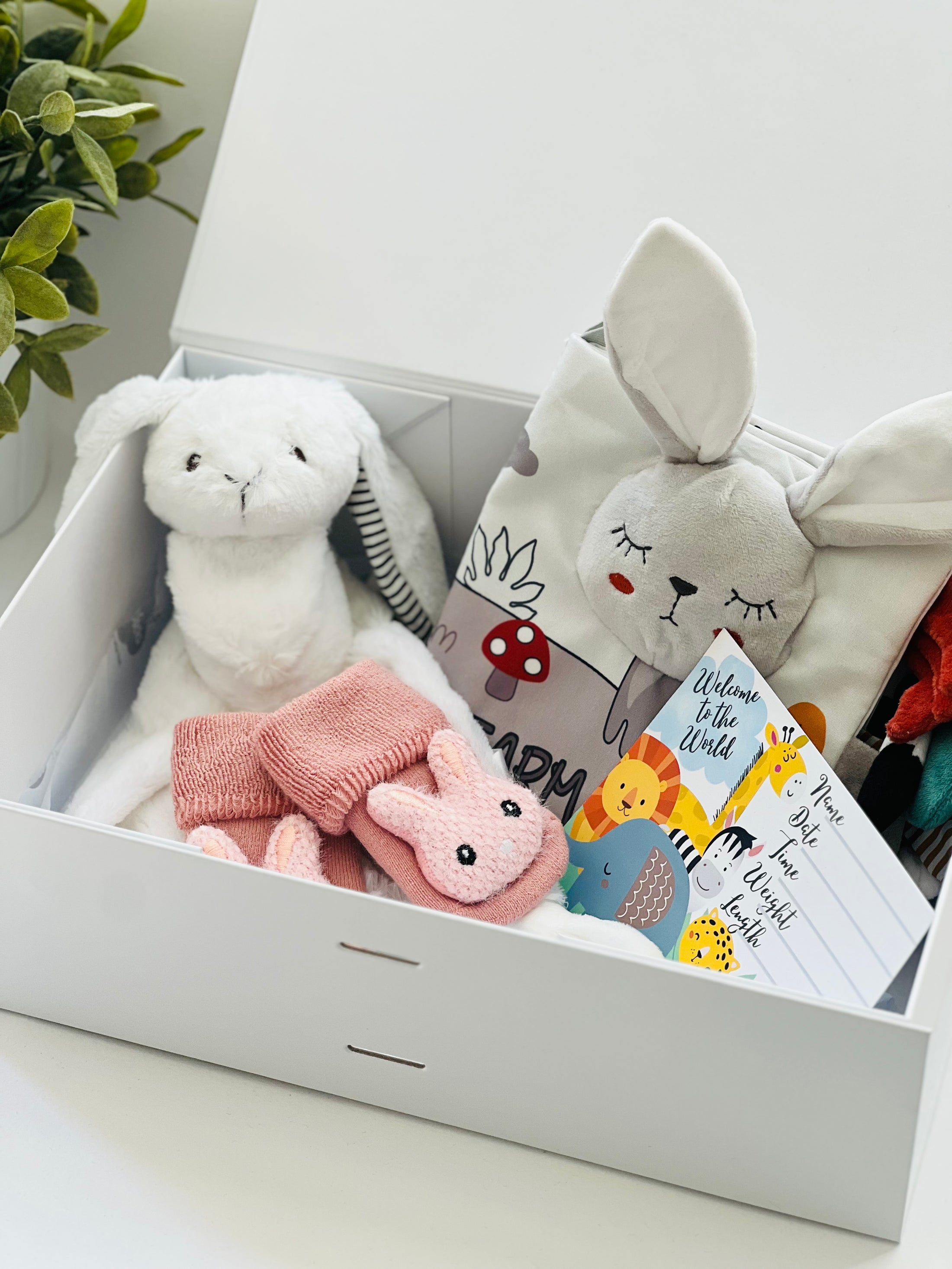 Baby Gift Box -Bunny – mybabysocks.co.uk